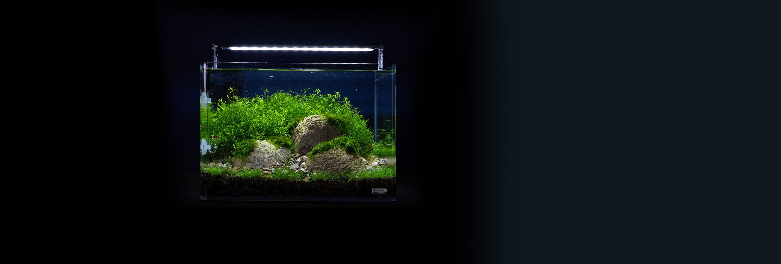 Finde jetzt dein 70 Liter Aquarium im Dennerle-Shop!