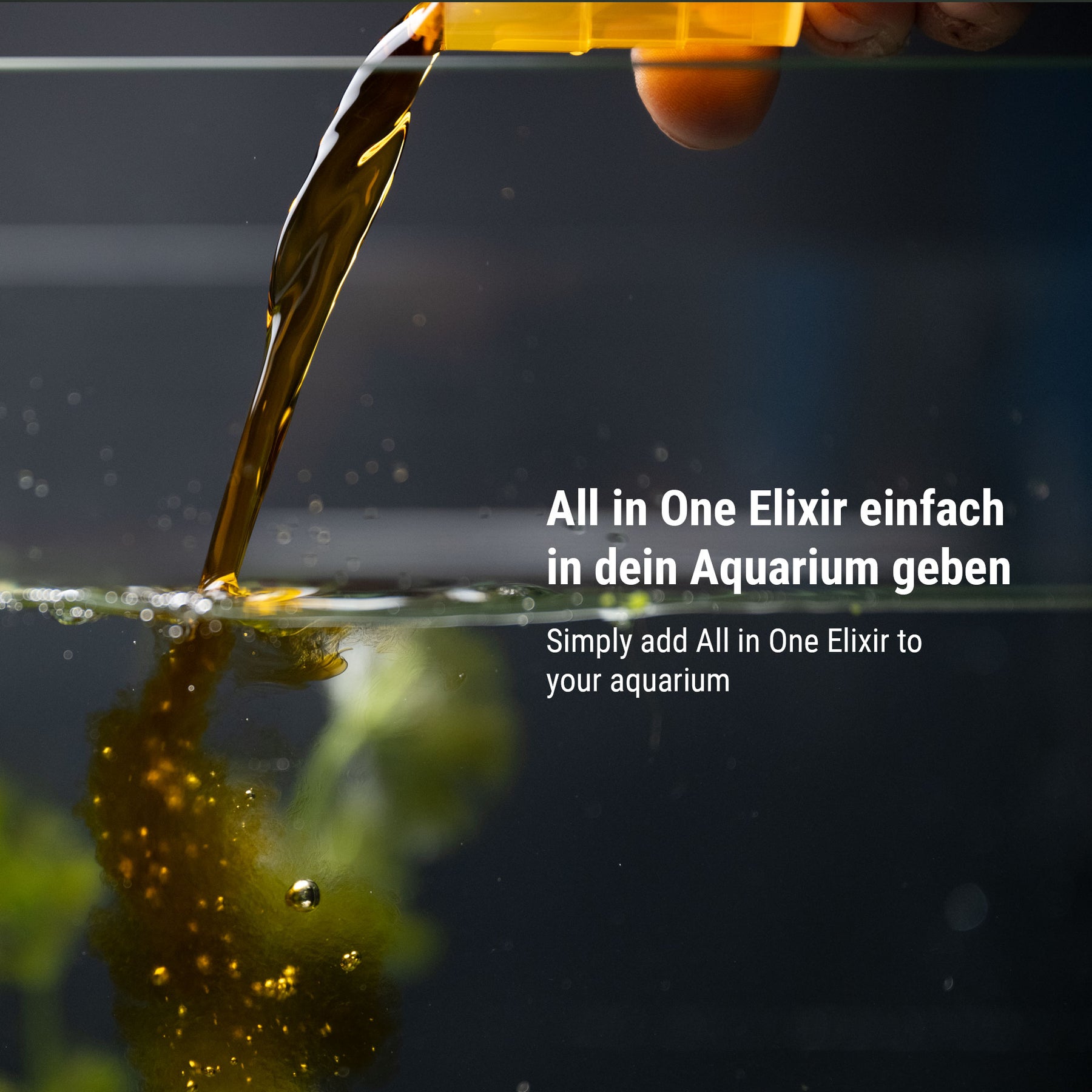 Dennerle All in One Elixir - Die Aquarium Einfach-Pflege für Fische ...