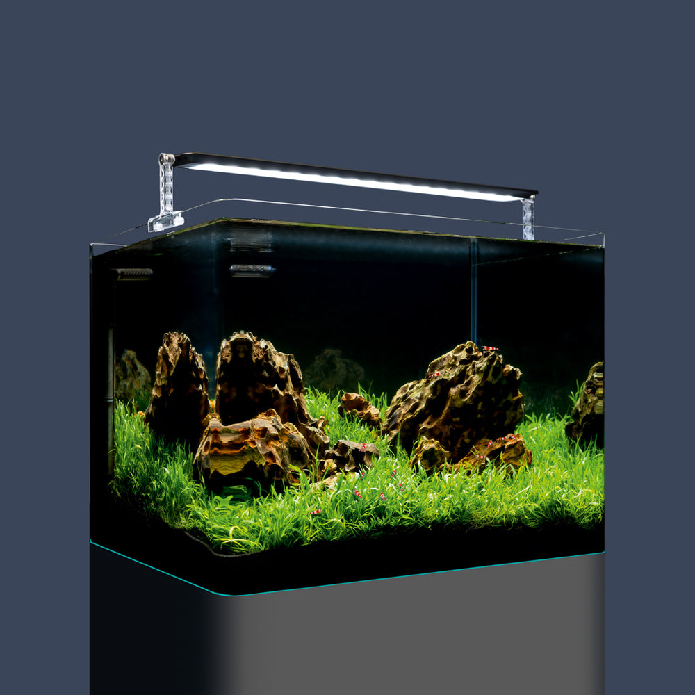Dennerle Nano Tank Plant Pro - Mini Aquarium Set with lighting, filter ...