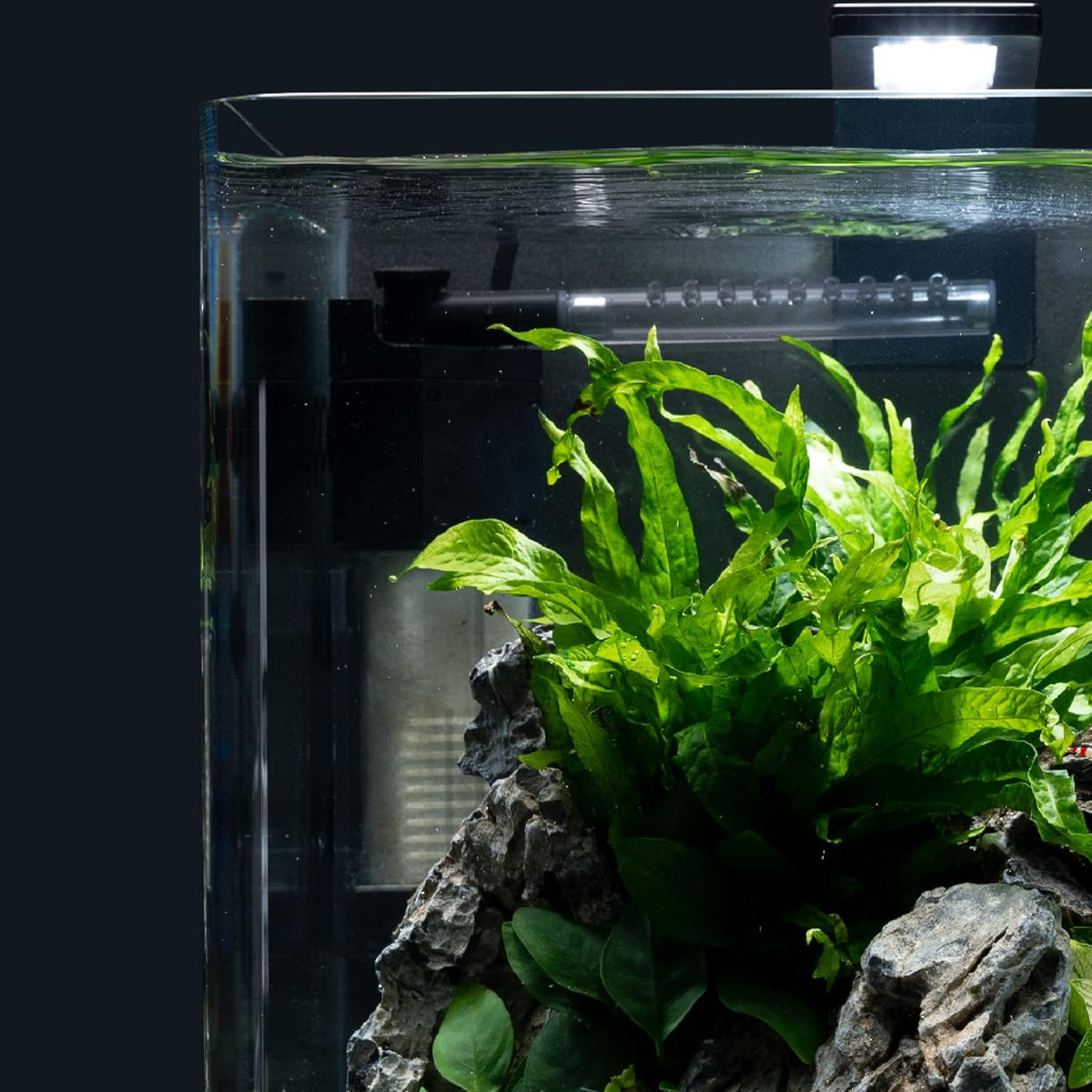 Dennerle Corner Filter - Kompakter Eckfilter für Süßwasser-Aquarien