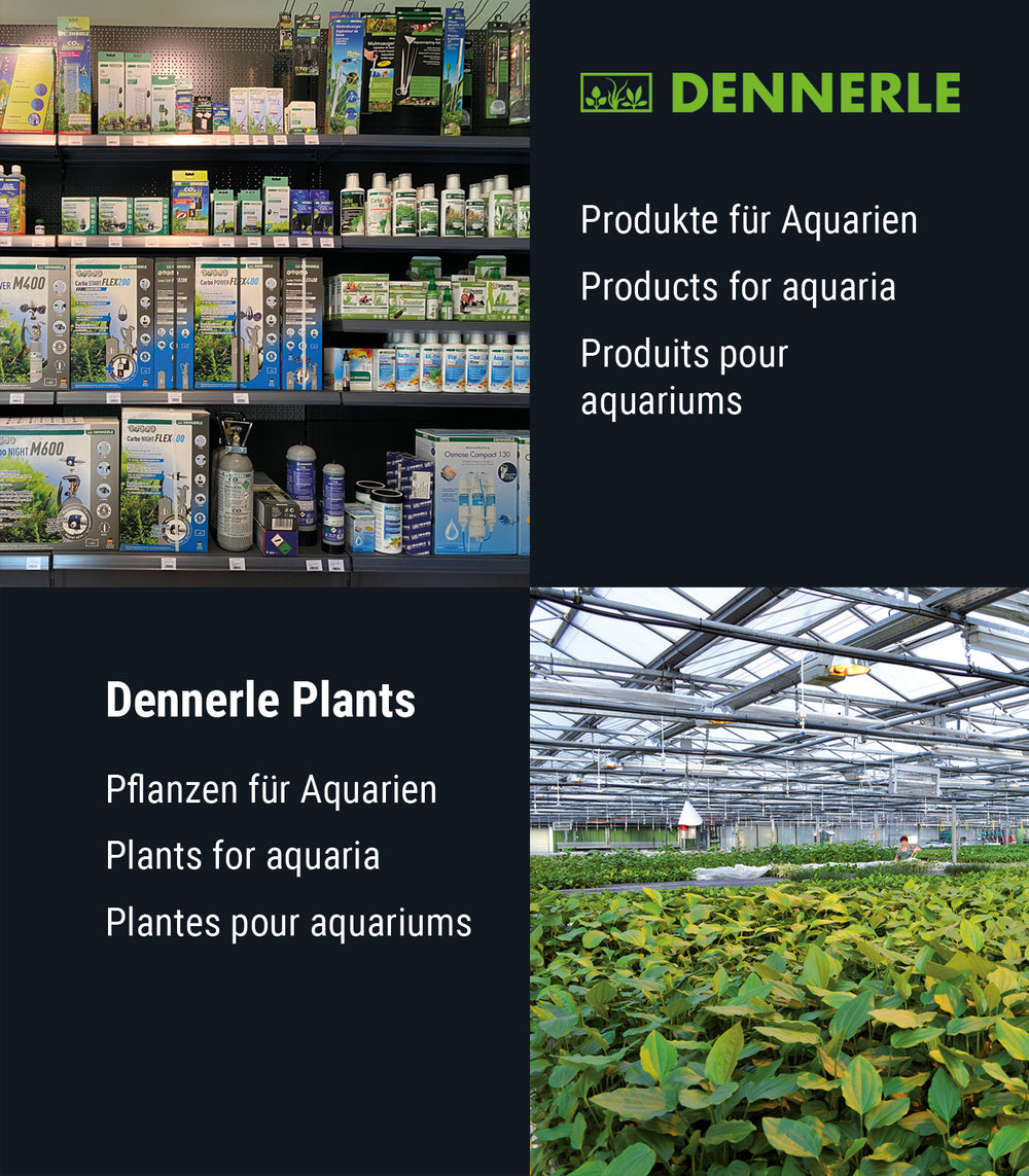 About us – Dennerle