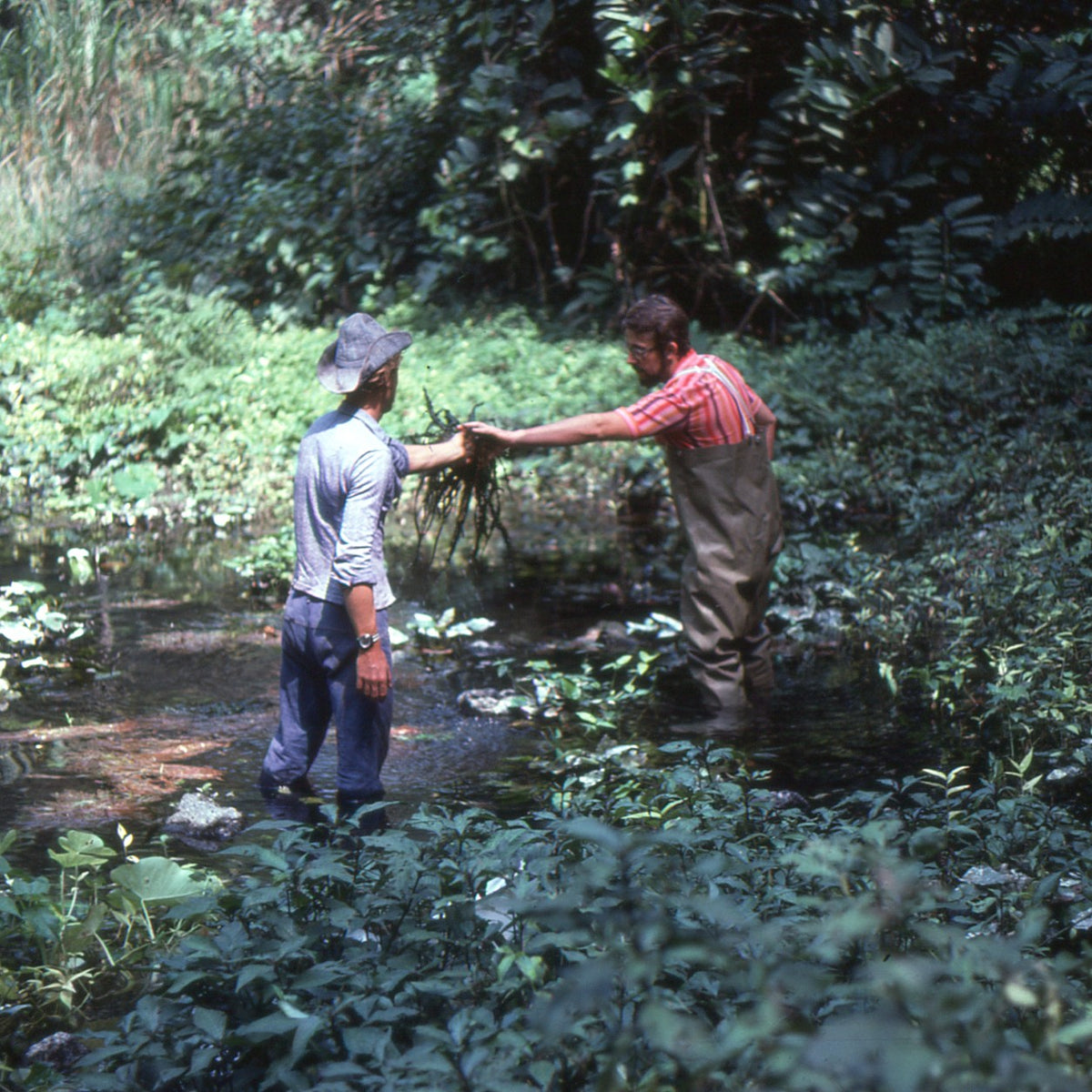 Dennerle - Natur erleben seit 1966.