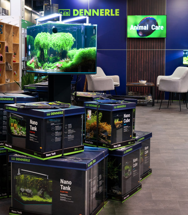 Über uns! – Dennerle